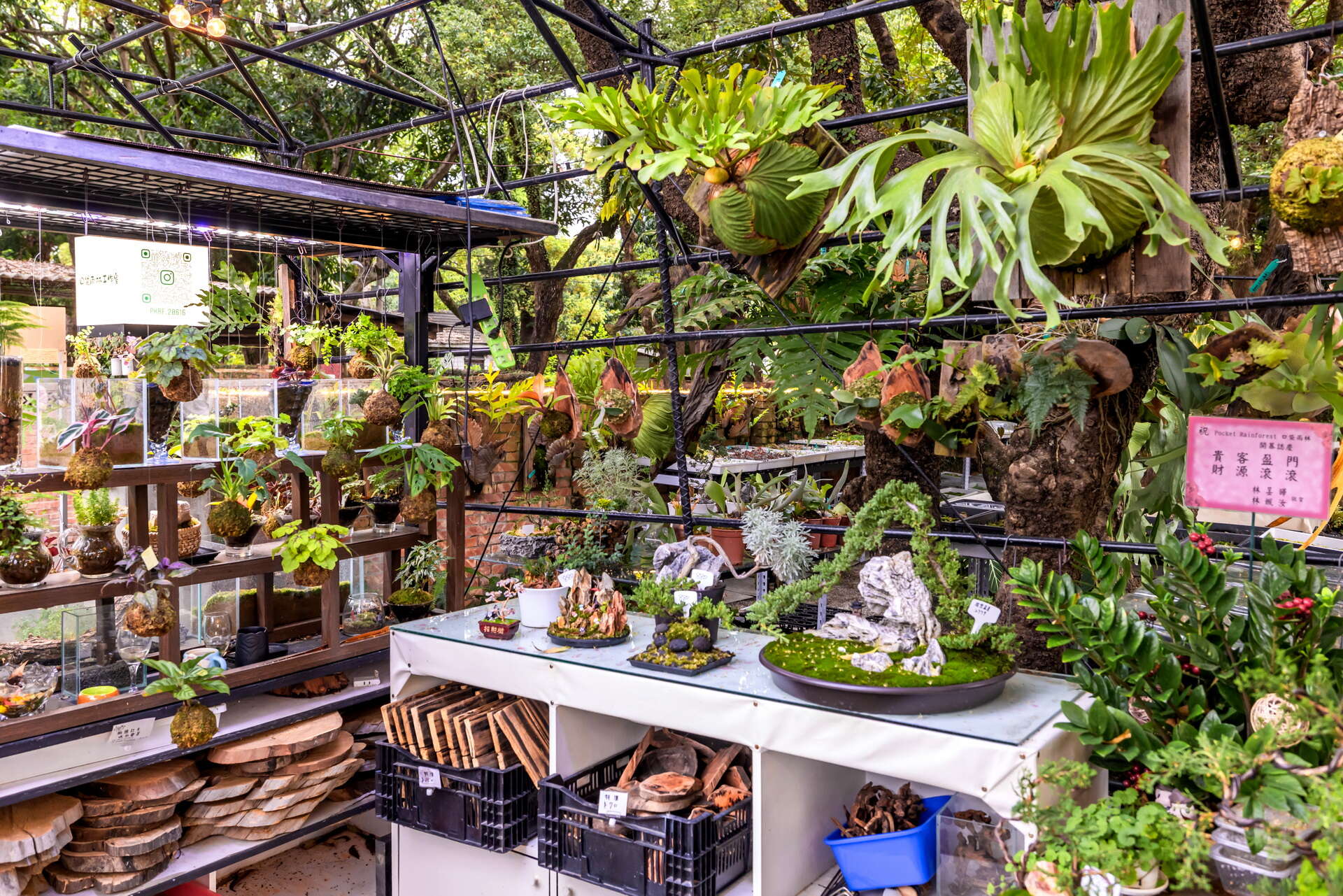 Guangfu New Village－Tri-Mountain National Scenic Area Headquarters